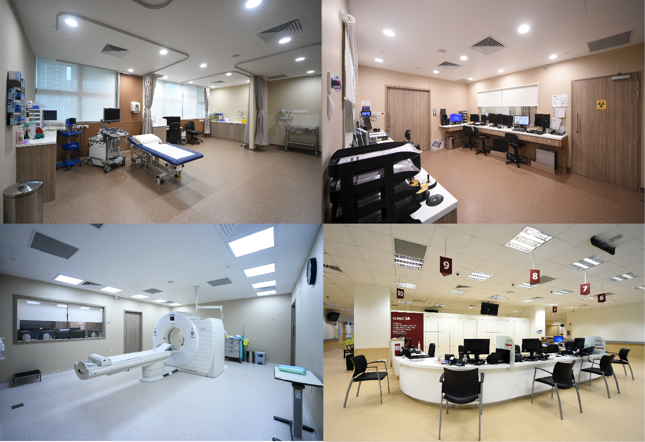 Cardiology
